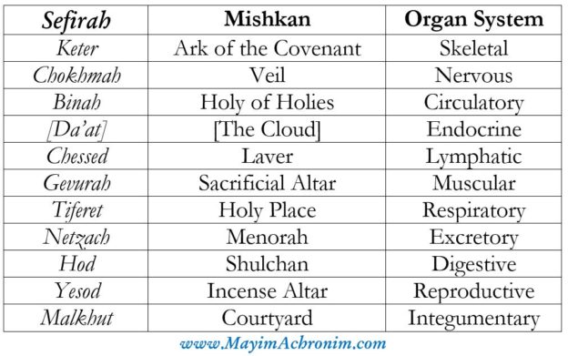 Mishkan & the Kabbalah of Organ Systems | Mayim Achronim